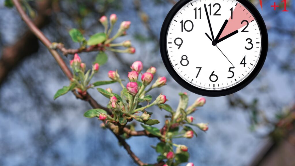When do the clocks go forward in 2024? | iGhanaian.com